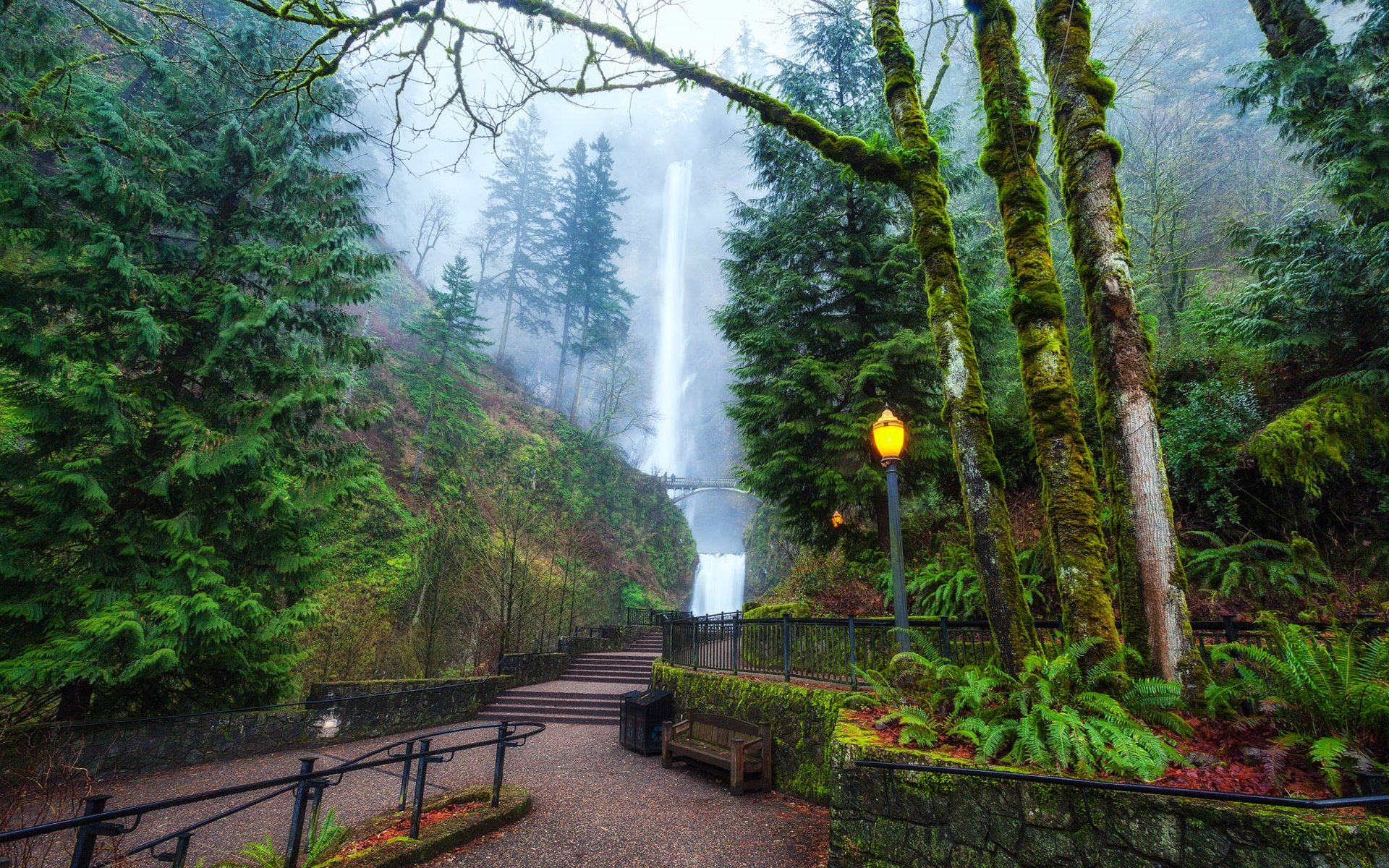 Download Photography Park HD Wallpaper