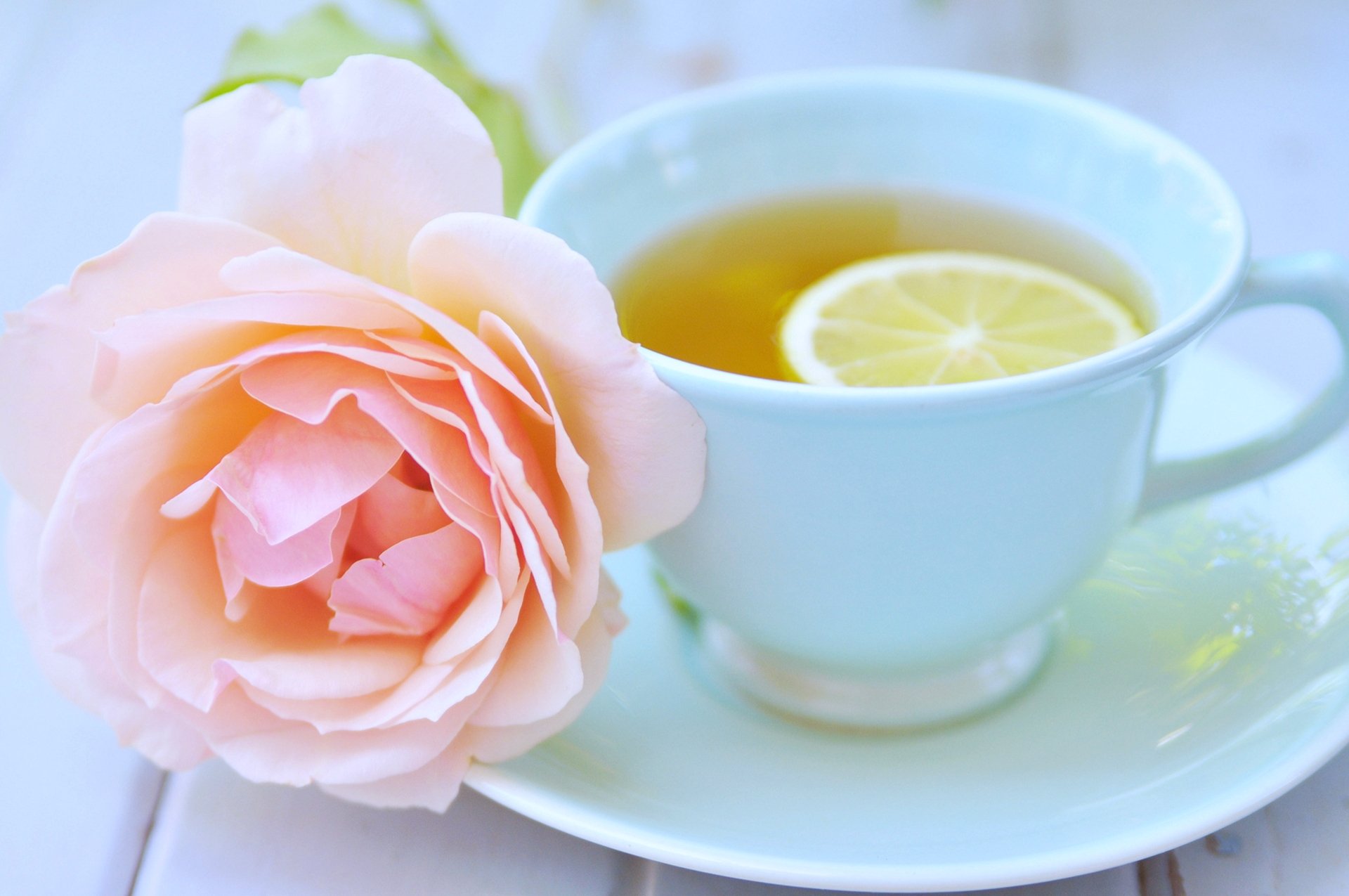Download Drink Flower Rose Cup Food Tea 4k Ultra HD Wallpaper