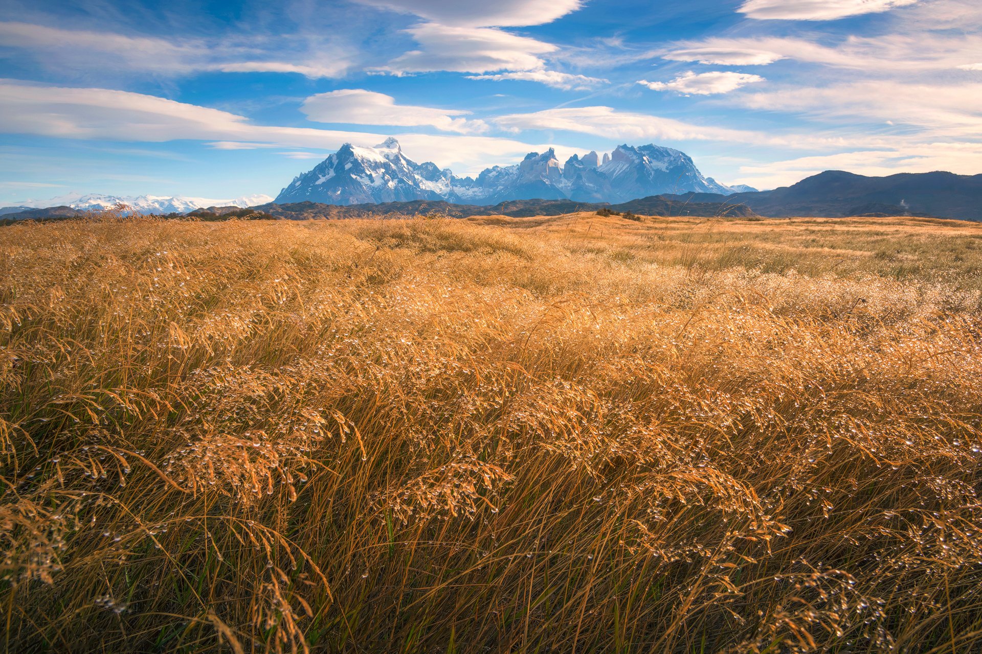 Torres del Paine: Majestic Patagonian Mountains and Golden Fields in ...