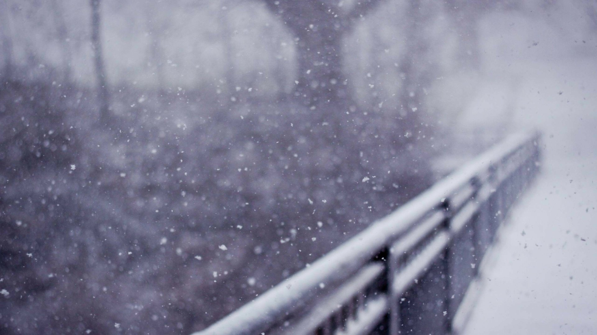 Download Photography Winter HD Wallpaper | 2560x1440 | Wallpaper Abyss