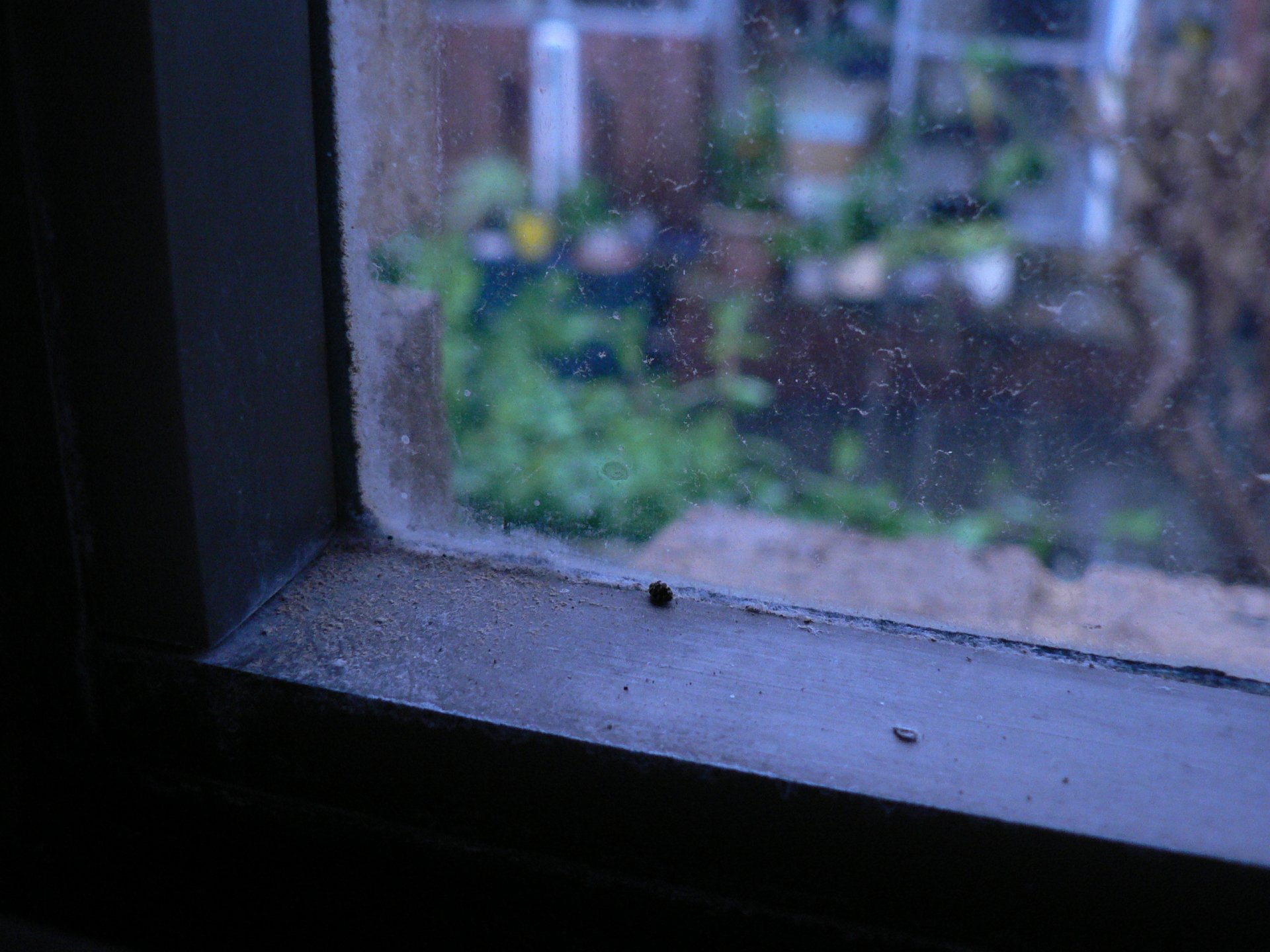 Download Window Photography Close-up HD Wallpaper