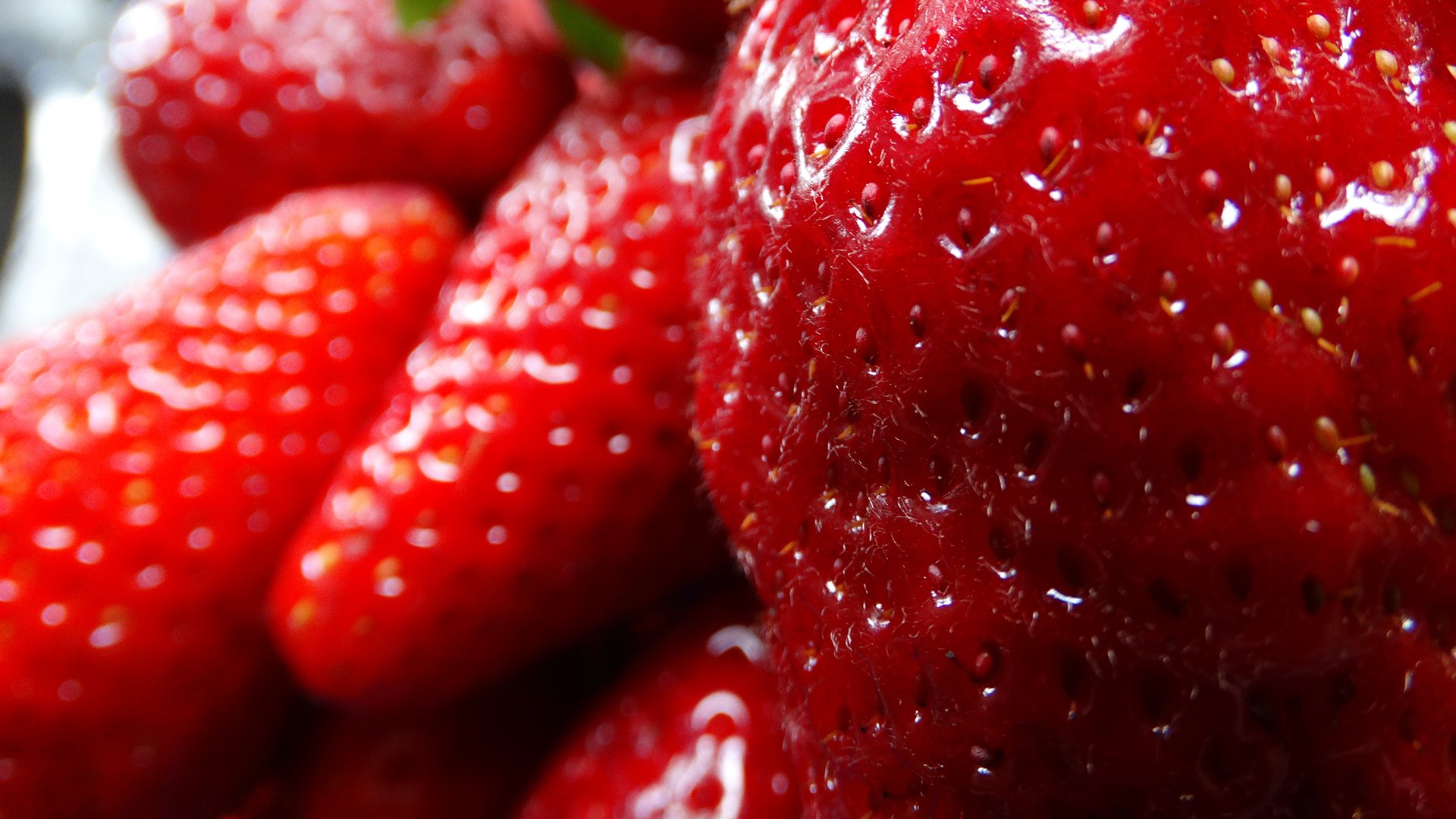 Strawberry HD Wallpaper | Background Image | 1920x1080