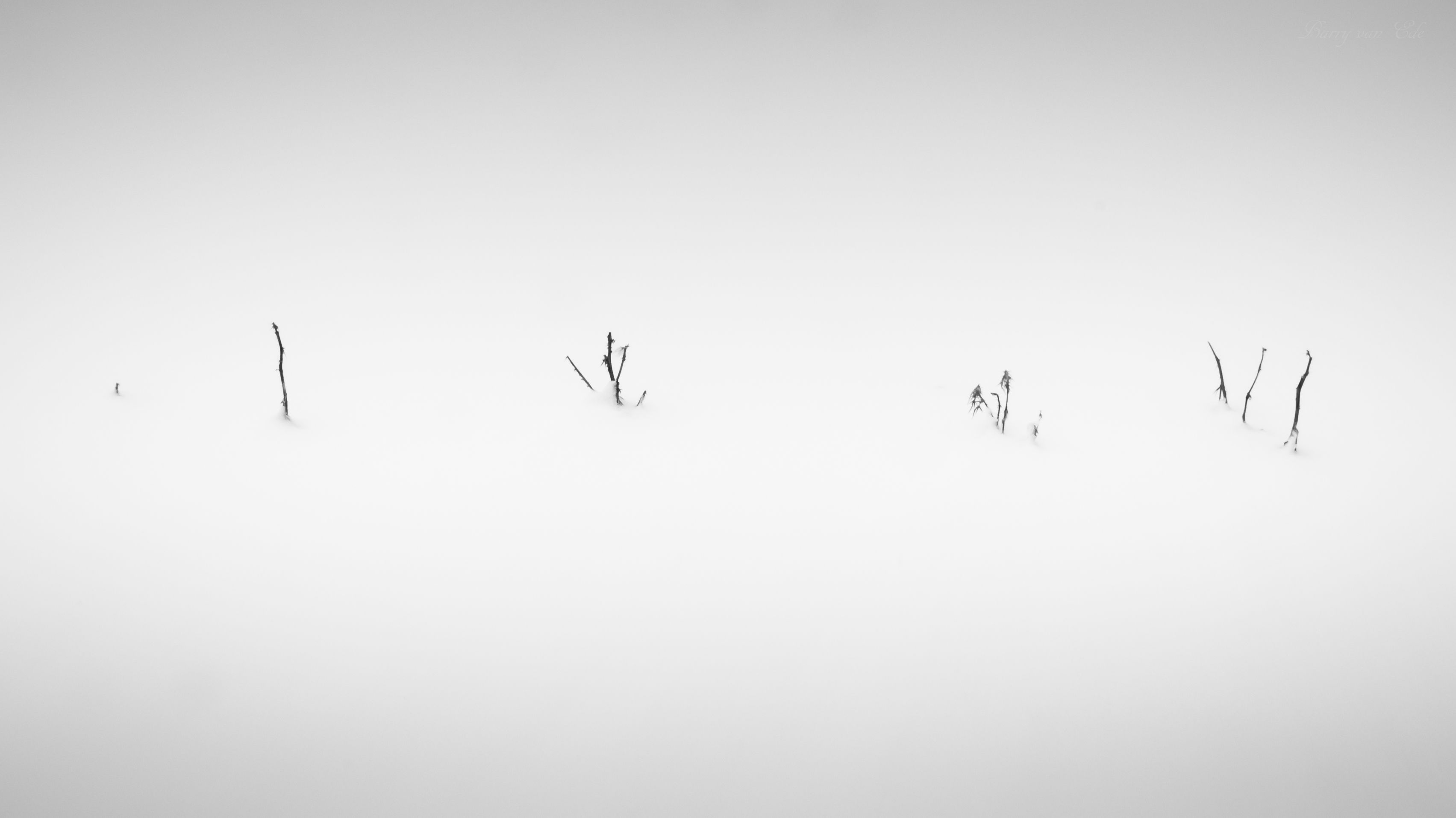 Nature Tumblr Horizontal