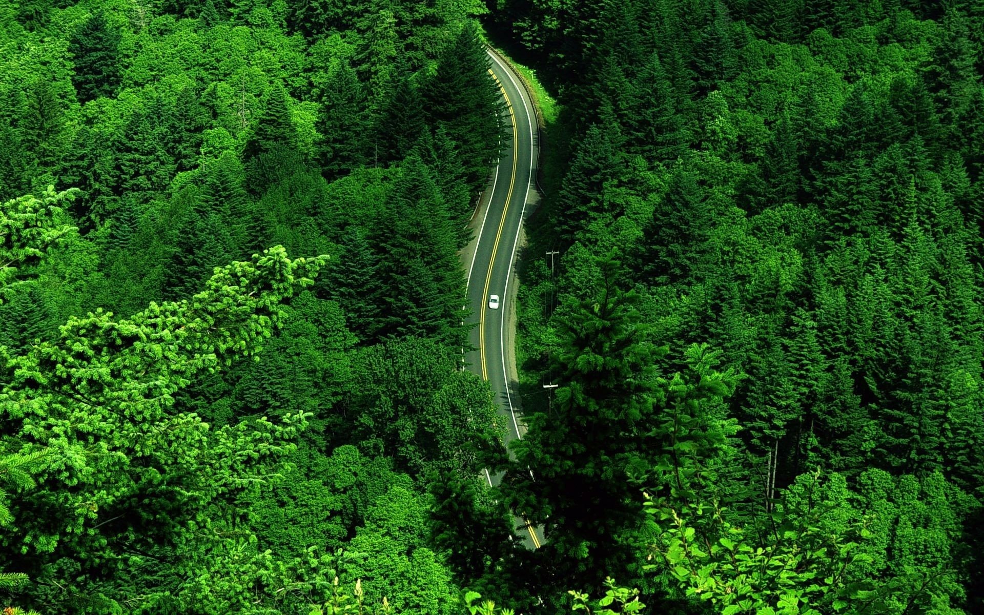 Download Man Made Road HD Wallpaper | 1920x1200 | Wallpaper Abyss