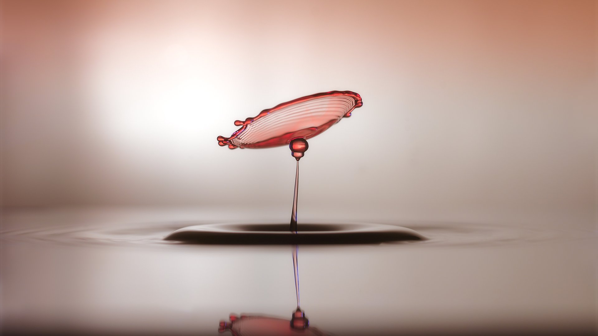 4K Ultra HD Water Drop Photography: Stunning Liquid Art in Motion