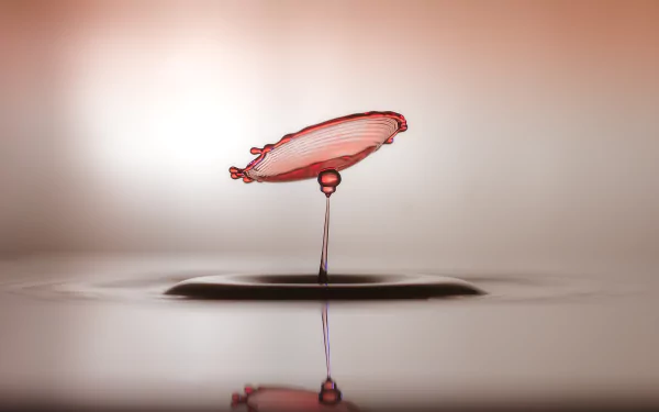 [270+] Water Drop 4k Wallpapers