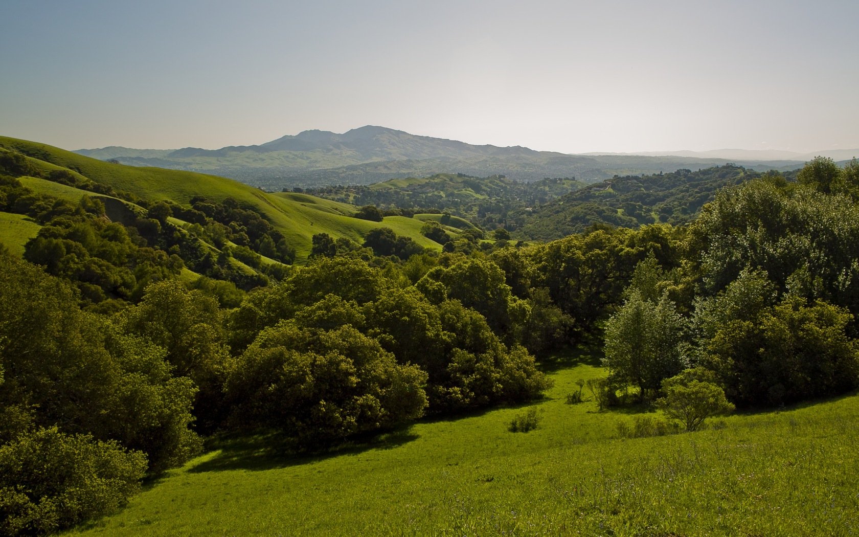 Emerald Valley — HD Nature Wallpaper | 1680x1050 | Wallpaper Abyss