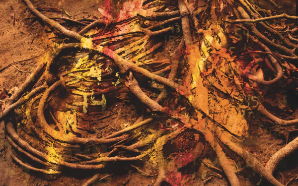 Code Orange Kids Wallpapers