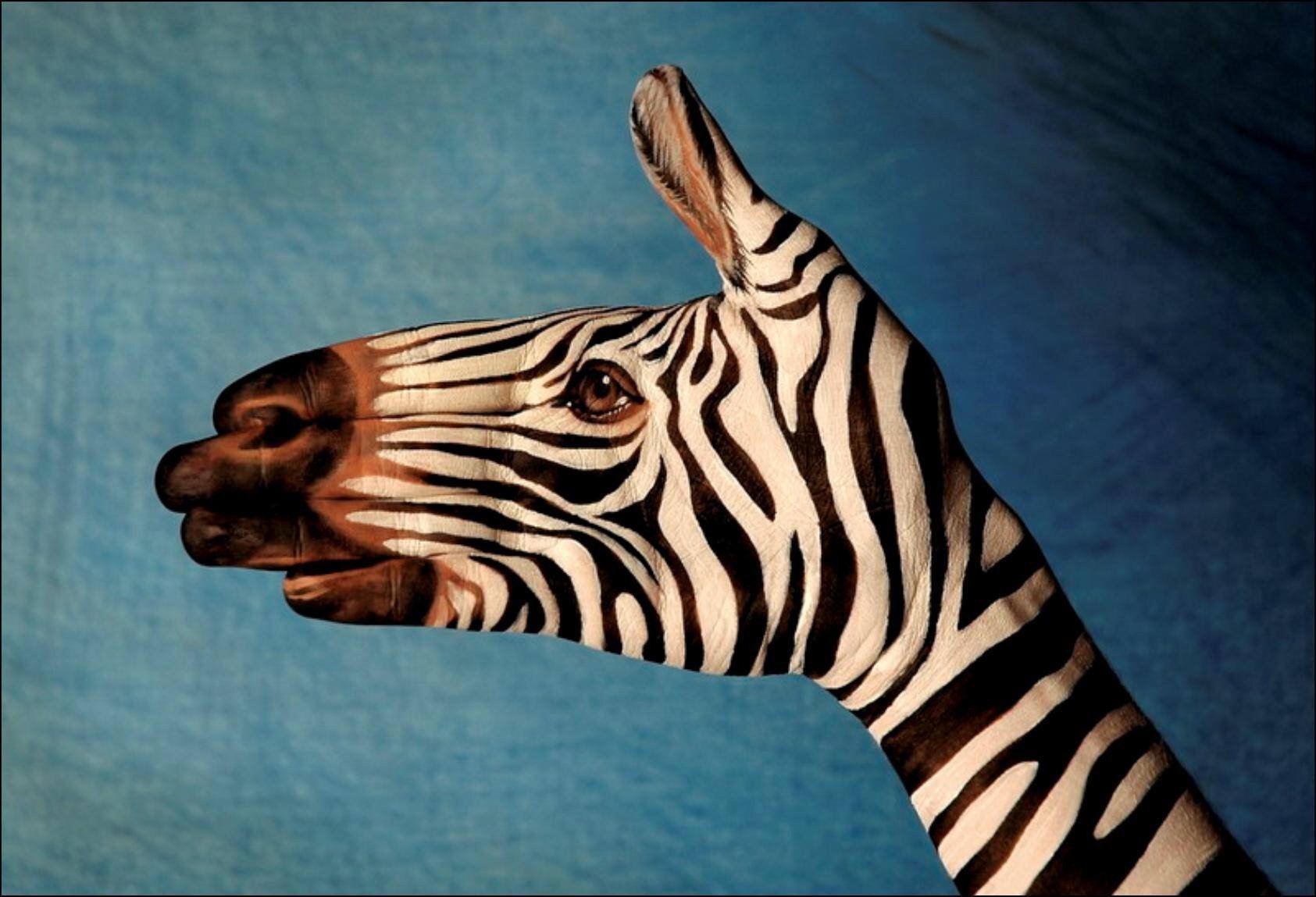 Artistic Zebra Paint Masterpiece – HD Animal Wallpaper