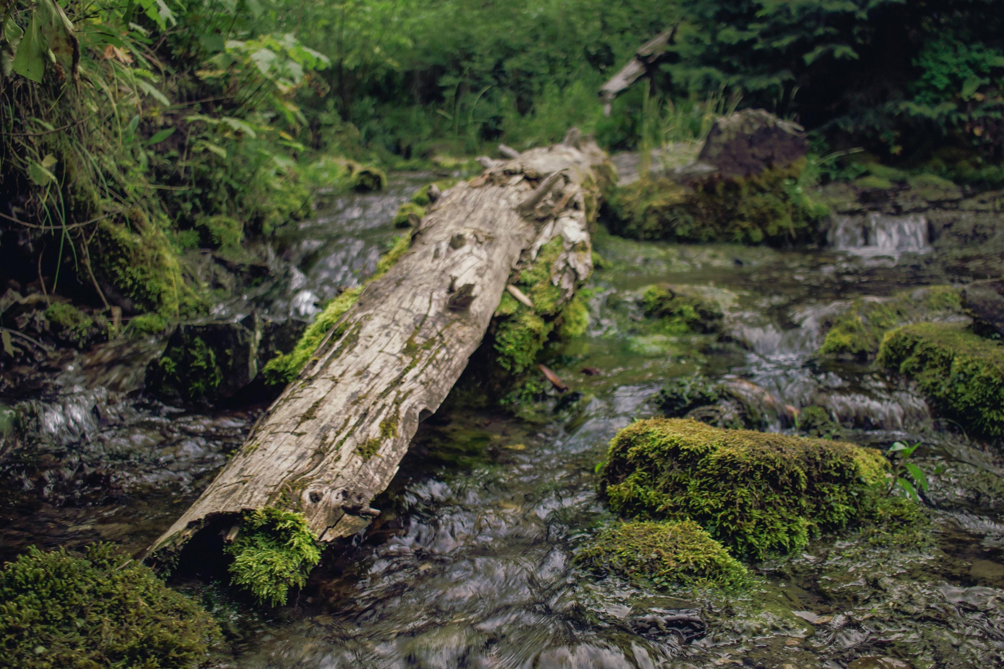 Download Nature Stream HD Wallpaper
