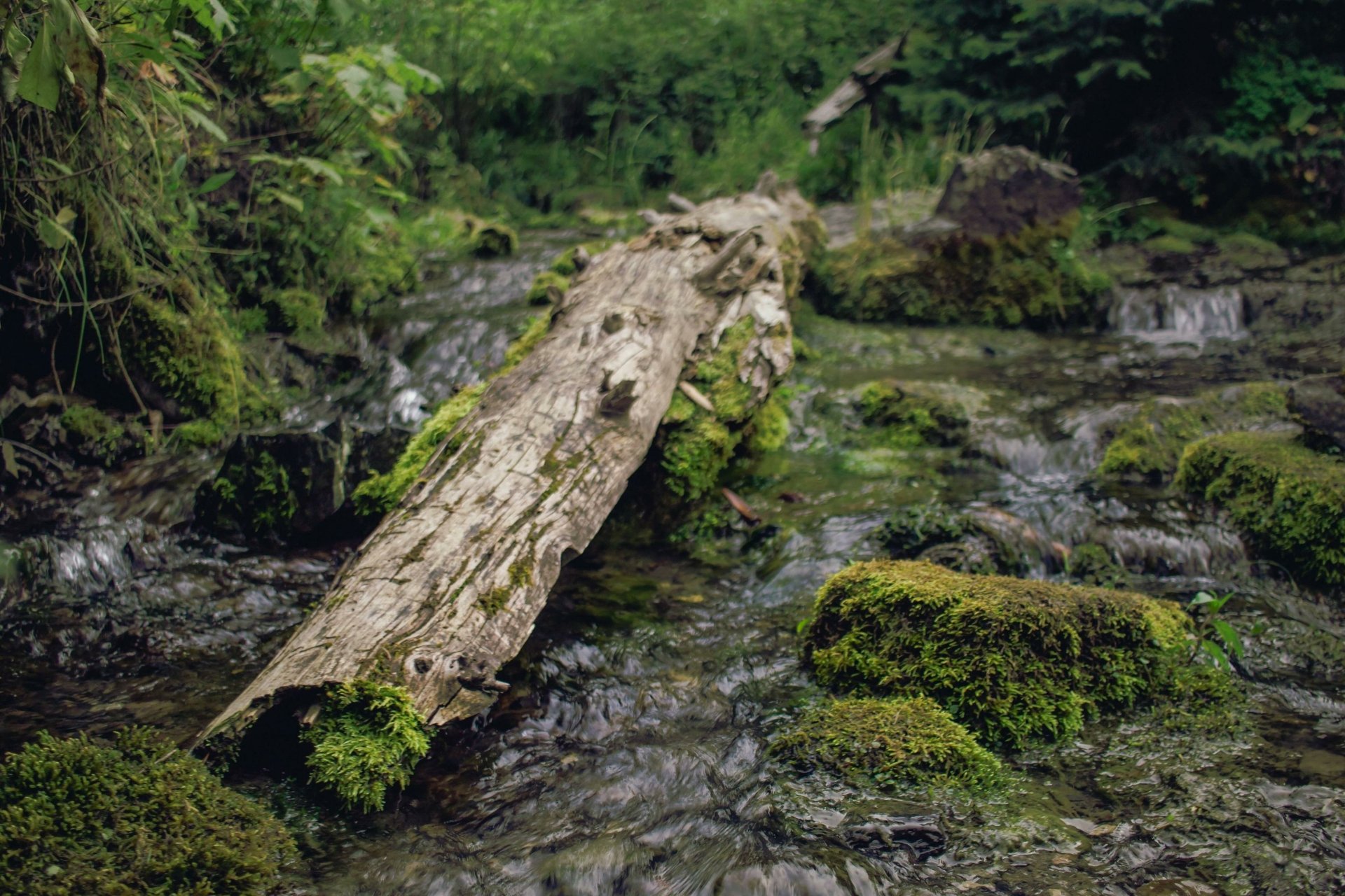 Download Nature Stream HD Wallpaper | 3418x2278 | Wallpaper Abyss