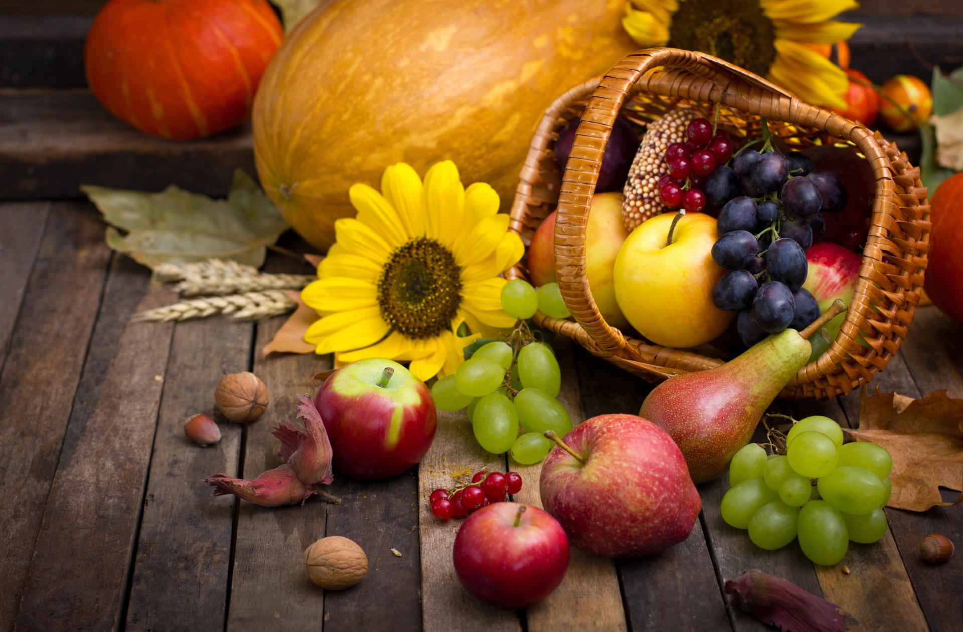 Autumn Harvest Bliss: Sunflower, Fruits & Fall Elegance in 4K Ultra HD