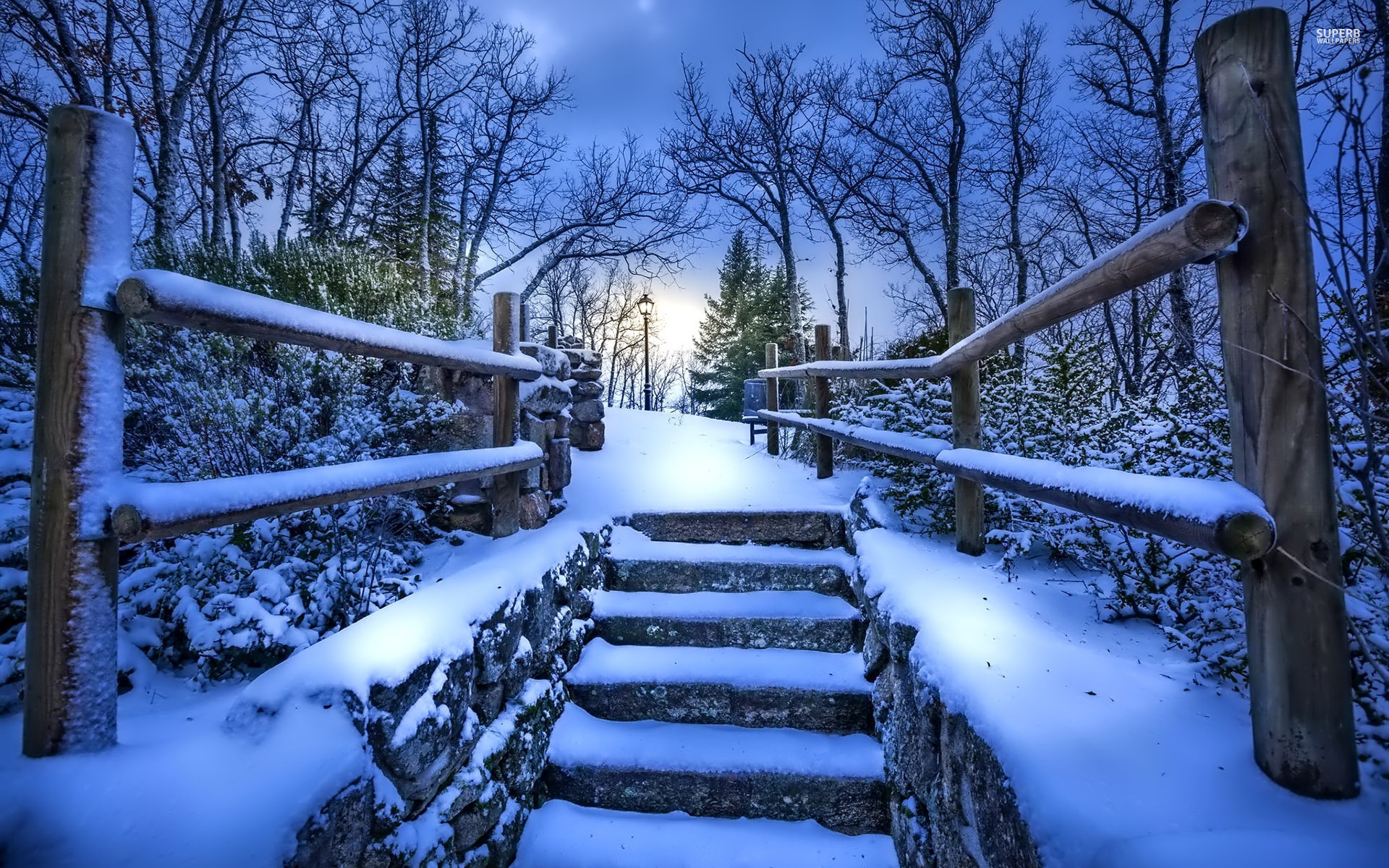 Invierno Full HD Fondo de Pantalla and Fondo de Escritorio | 1920x1200 ...