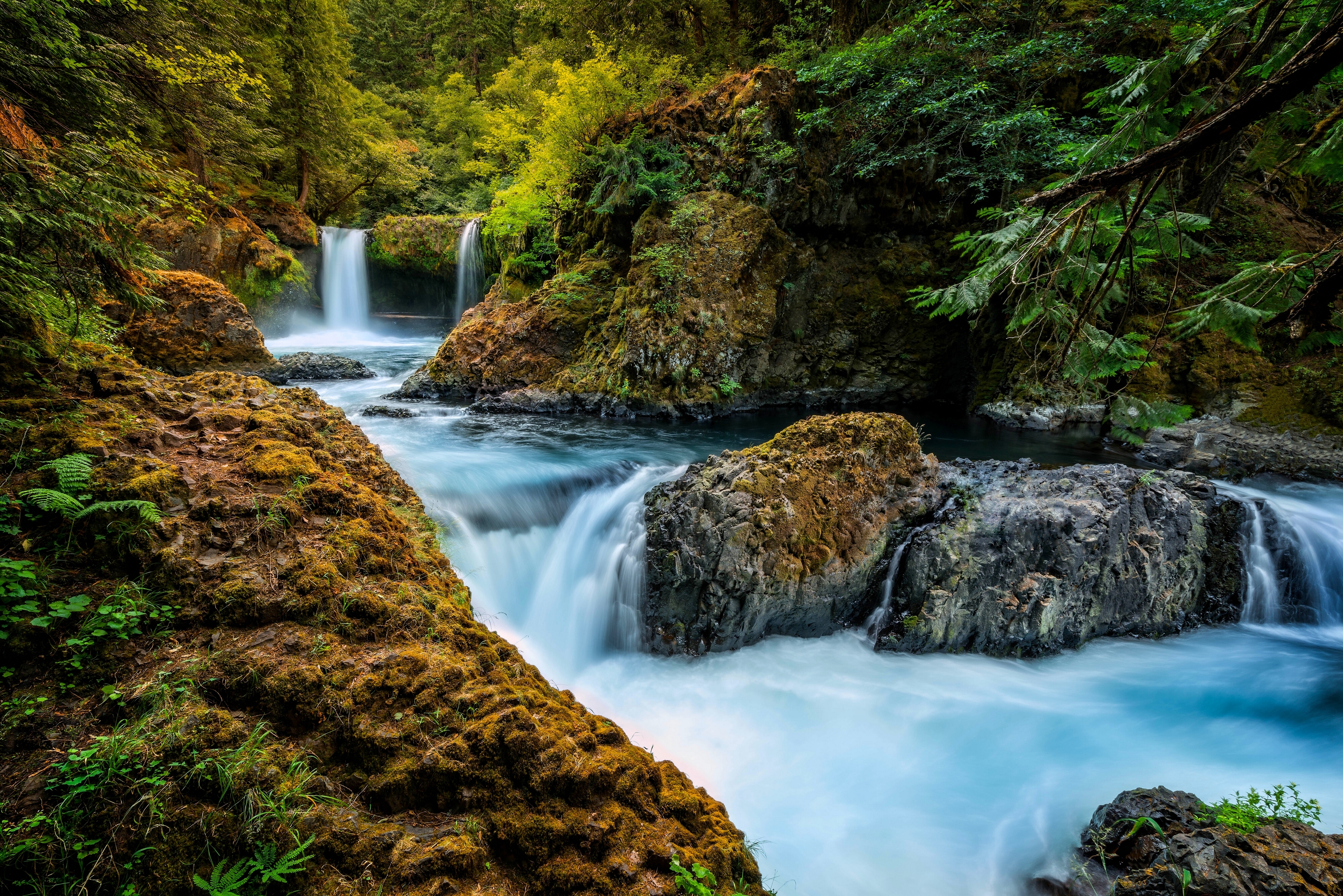 Download Forest Nature Waterfall 4k Ultra HD Wallpaper