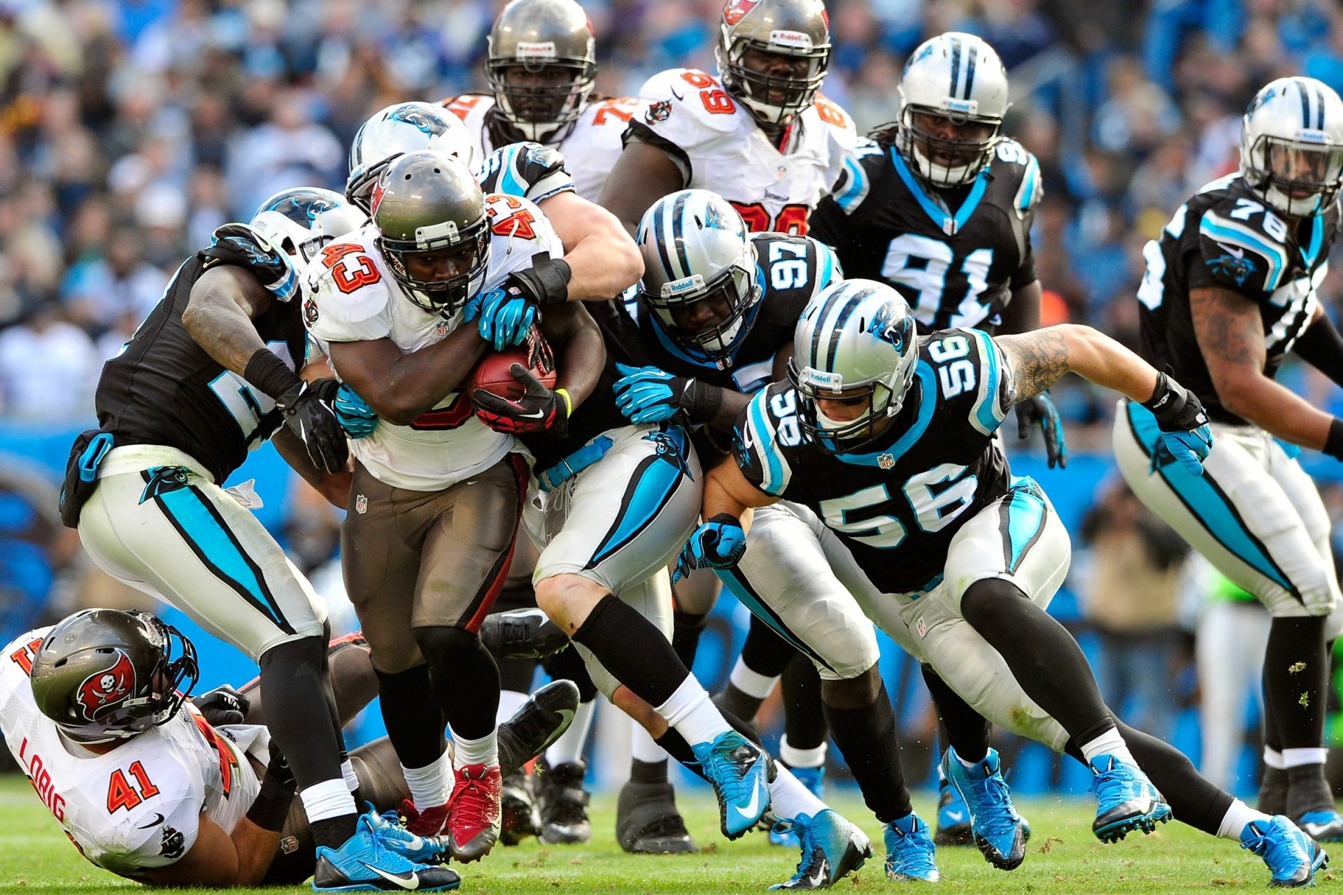 Download Carolina Panthers Sports HD Wallpaper