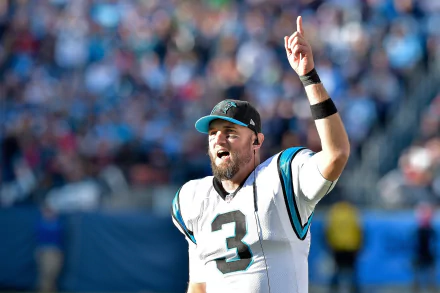 Carolina Panthers - Desktop Wallpapers, Phone Wallpaper, PFP, Gifs, and ...