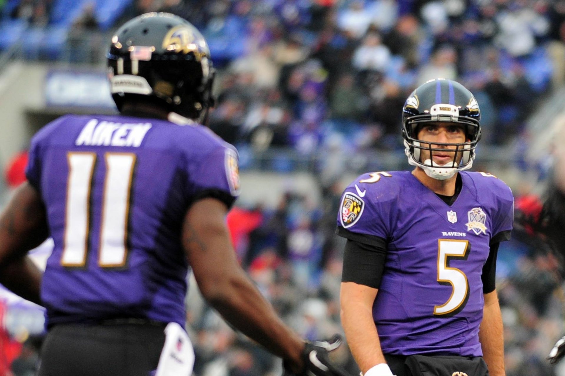 Download Baltimore Ravens Sports HD Wallpaper