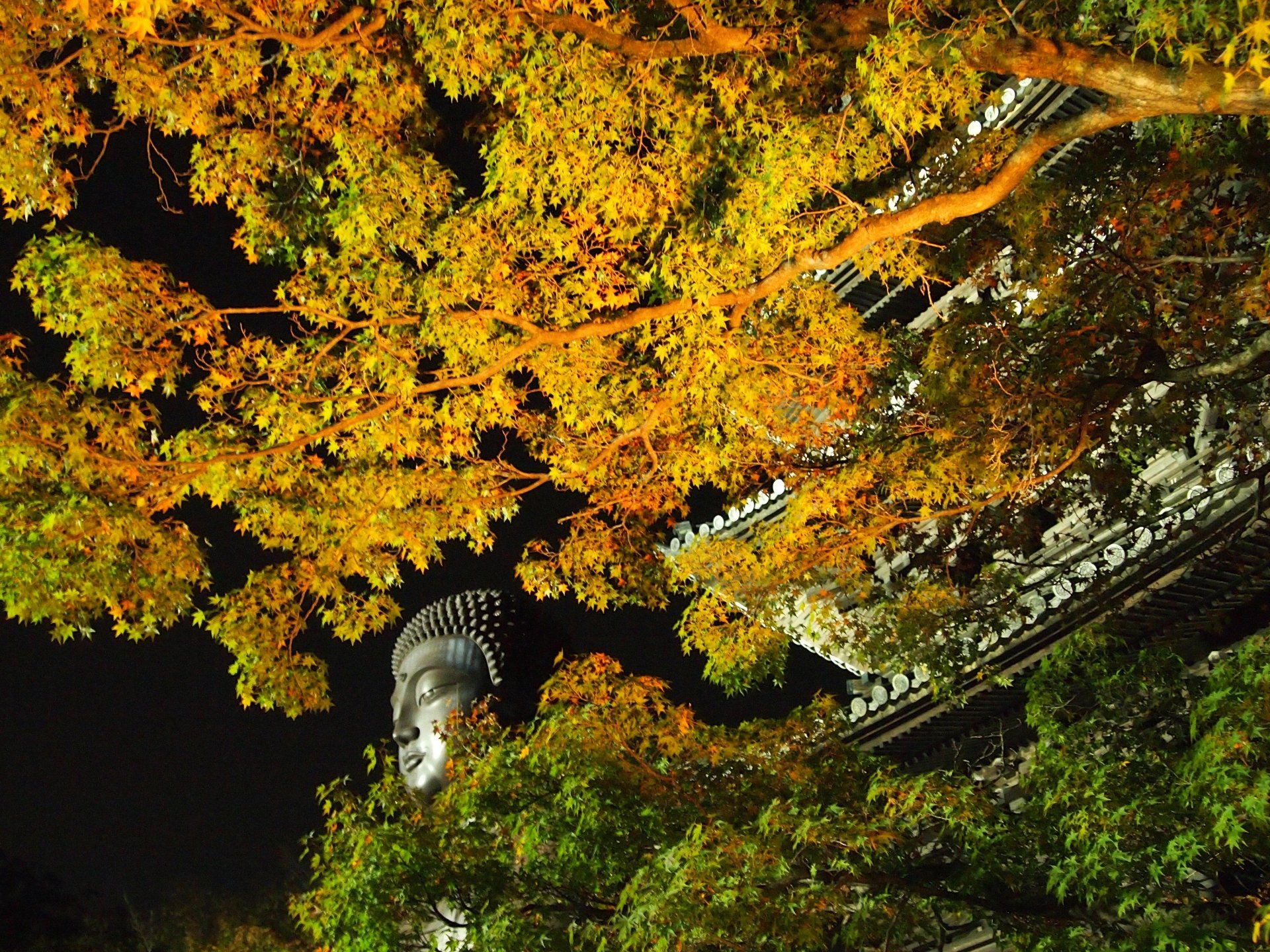Download Night Fall Nagoya Japan Religious Temple 4k Ultra HD Wallpaper