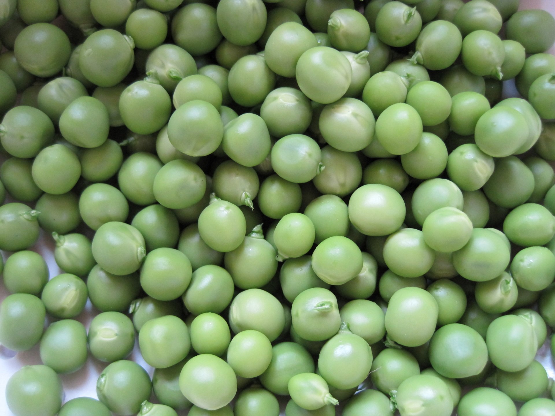 Download Food Pea HD Wallpaper