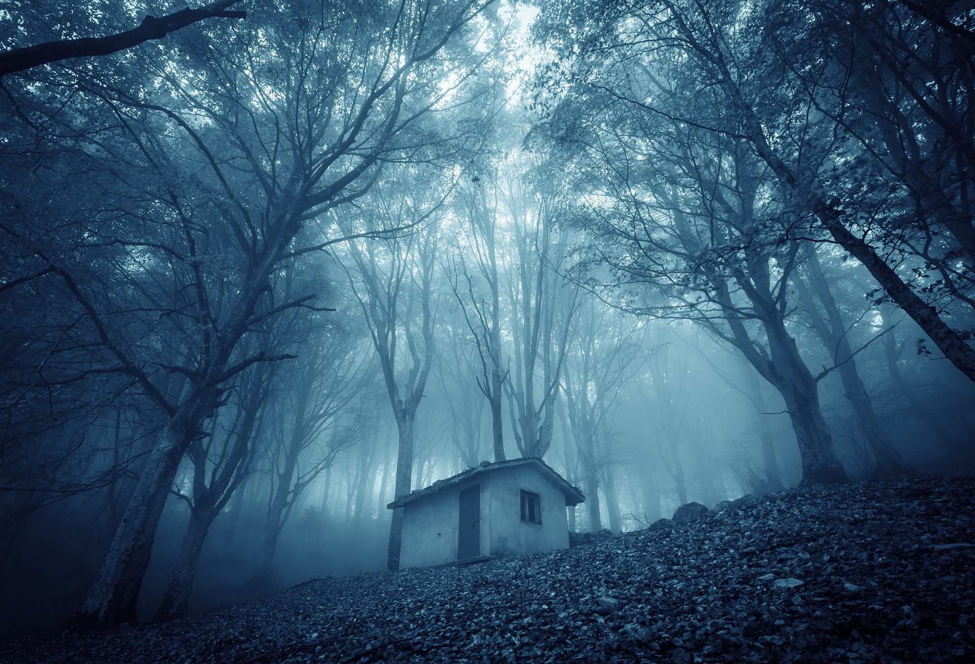 Fog HD Wallpaper | Background Image | 1920x1307 | ID:667451 - Wallpaper ...