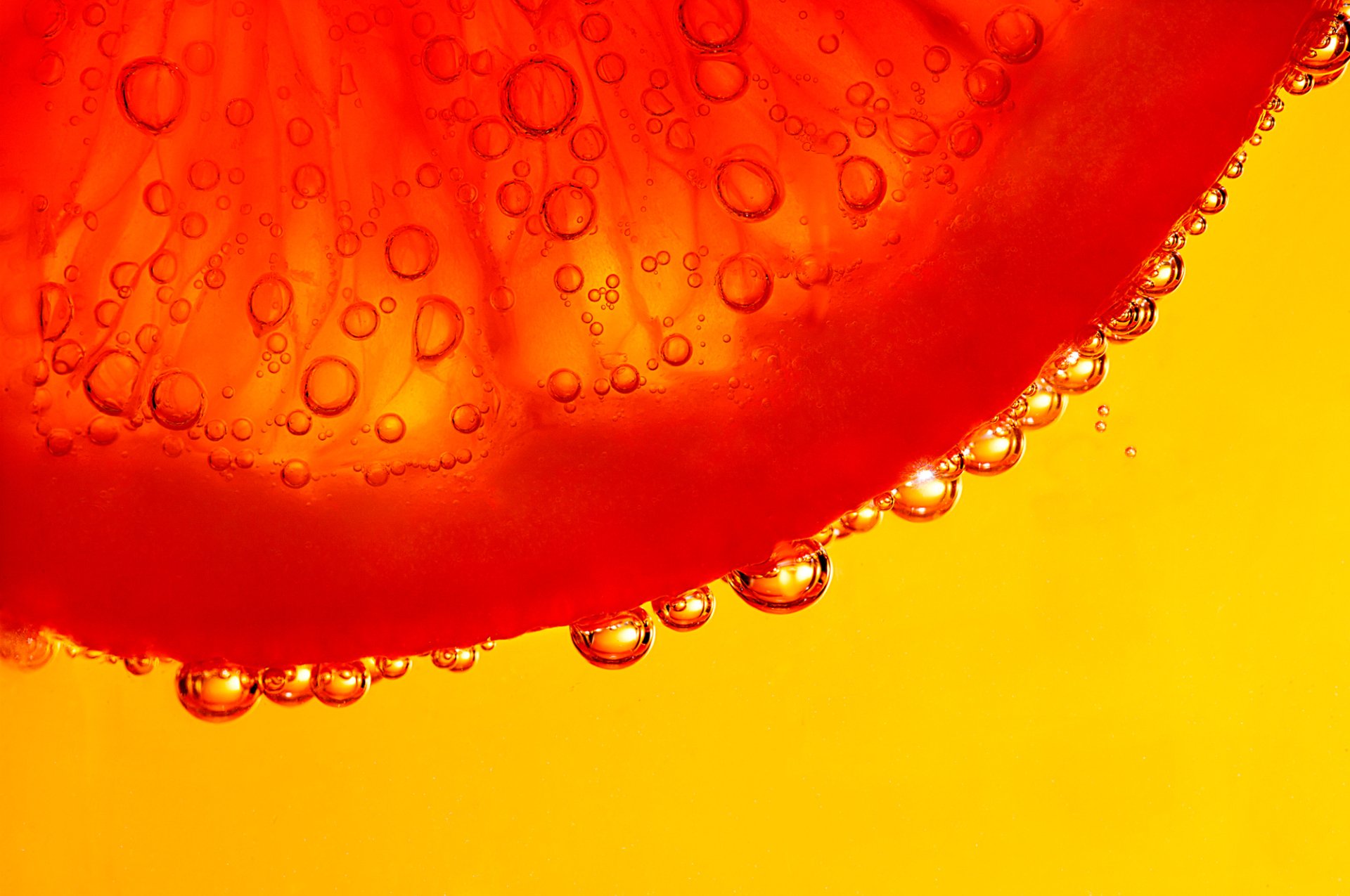 Bubbly Orange Slice — HD Citrus Wallpaper