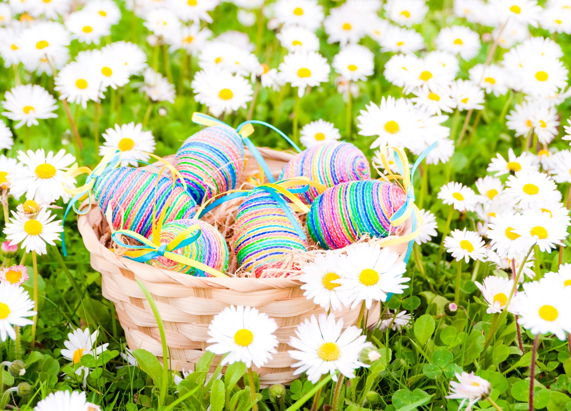 Easter Basket with Colorful Eggs Among White Daisies – 4K Ultra HD ...