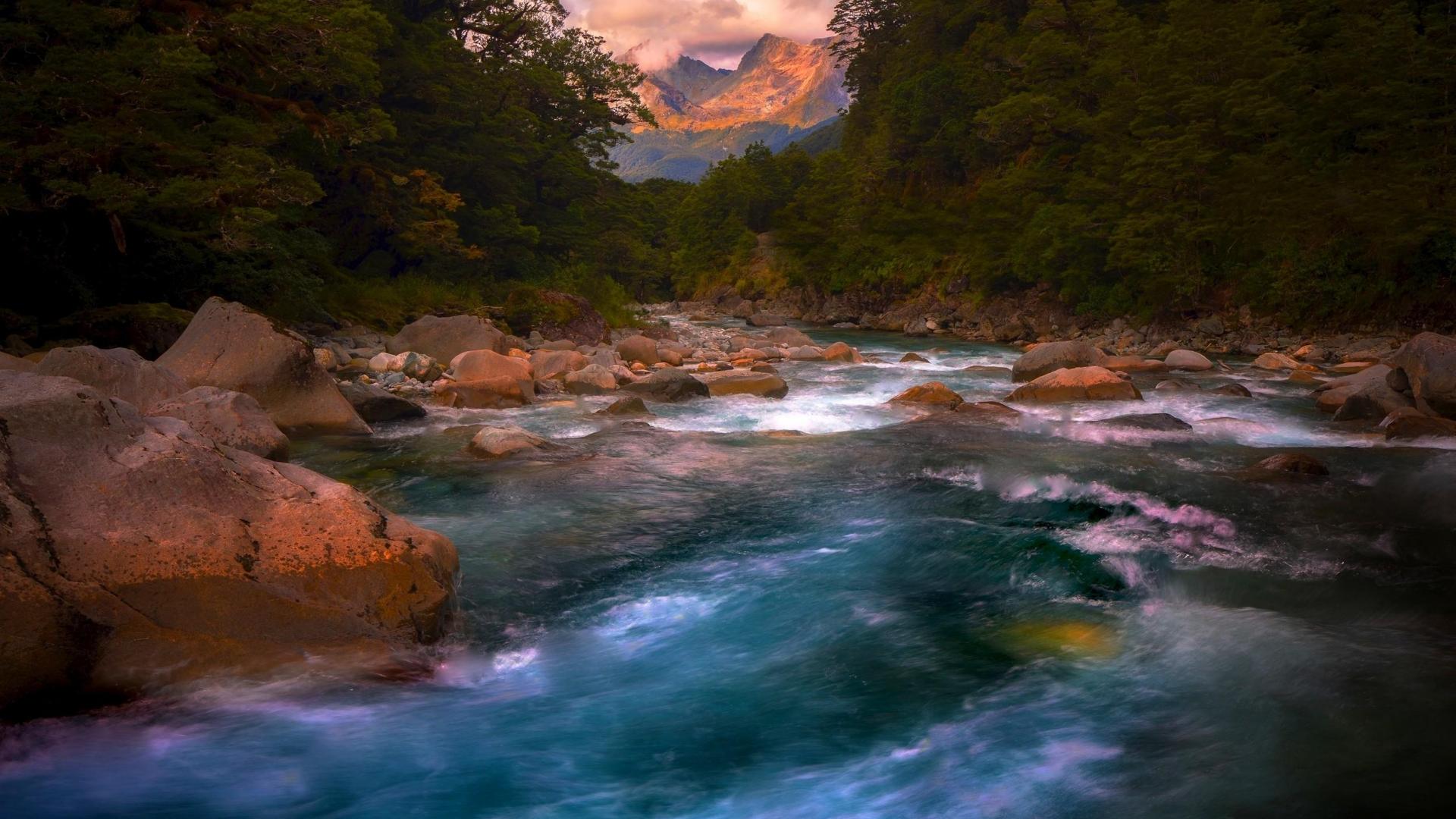 Download Forest Tree Mountain Landscape Nature River HD Wallpaper