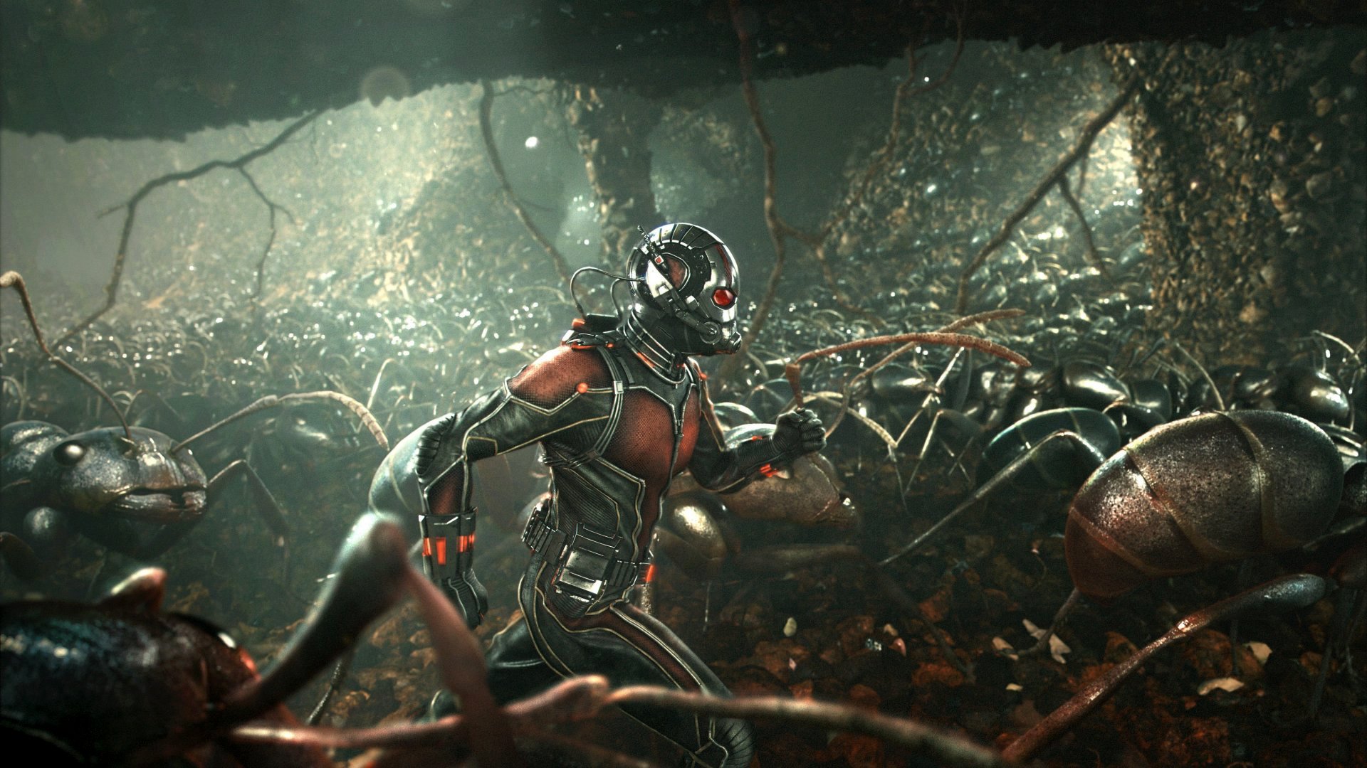 Ant-Man Epic HD Movie Wallpaper Adventure