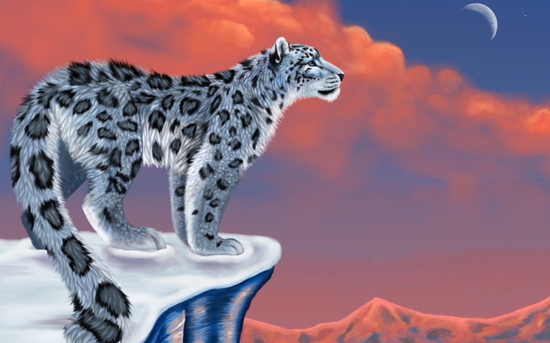 Download Moon Winter Snow Leopard Fantasy Animal Fantasy Animal HD ...
