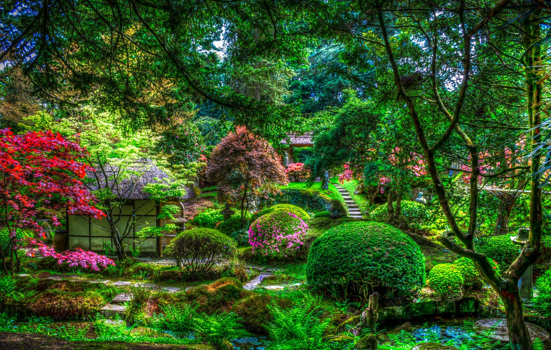 Vibrant Spring Garden HDR: Blossoms and Trees in a Scenic Park