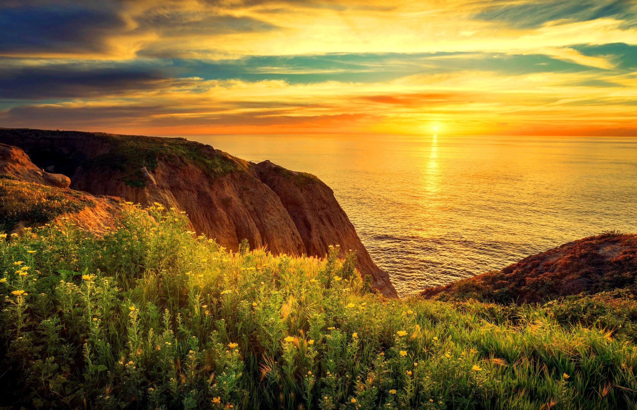 Download Horizon Sunset Flower Ocean Coast Nature Coastline HD Wallpaper