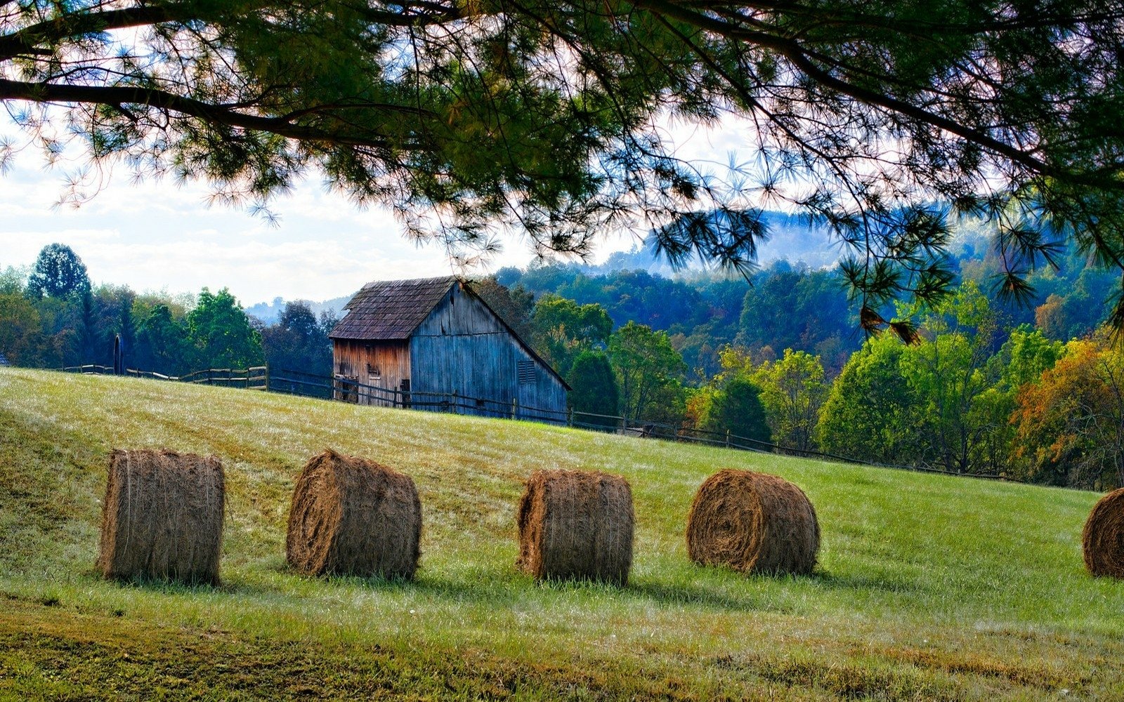 Man Made Barn Wallpaper