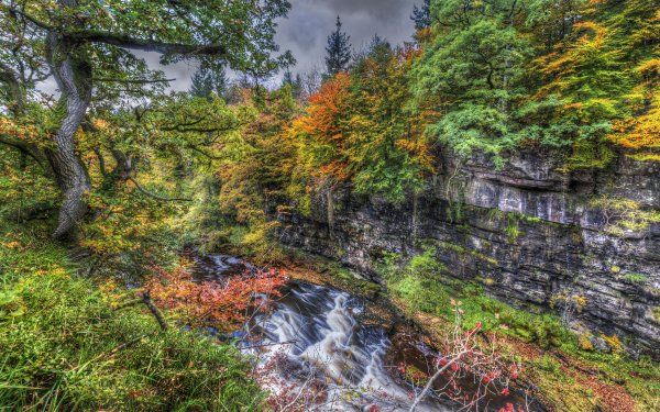 Bridge and Waterfall Stream in Autumn Forest HD Wallpaper | Background ...