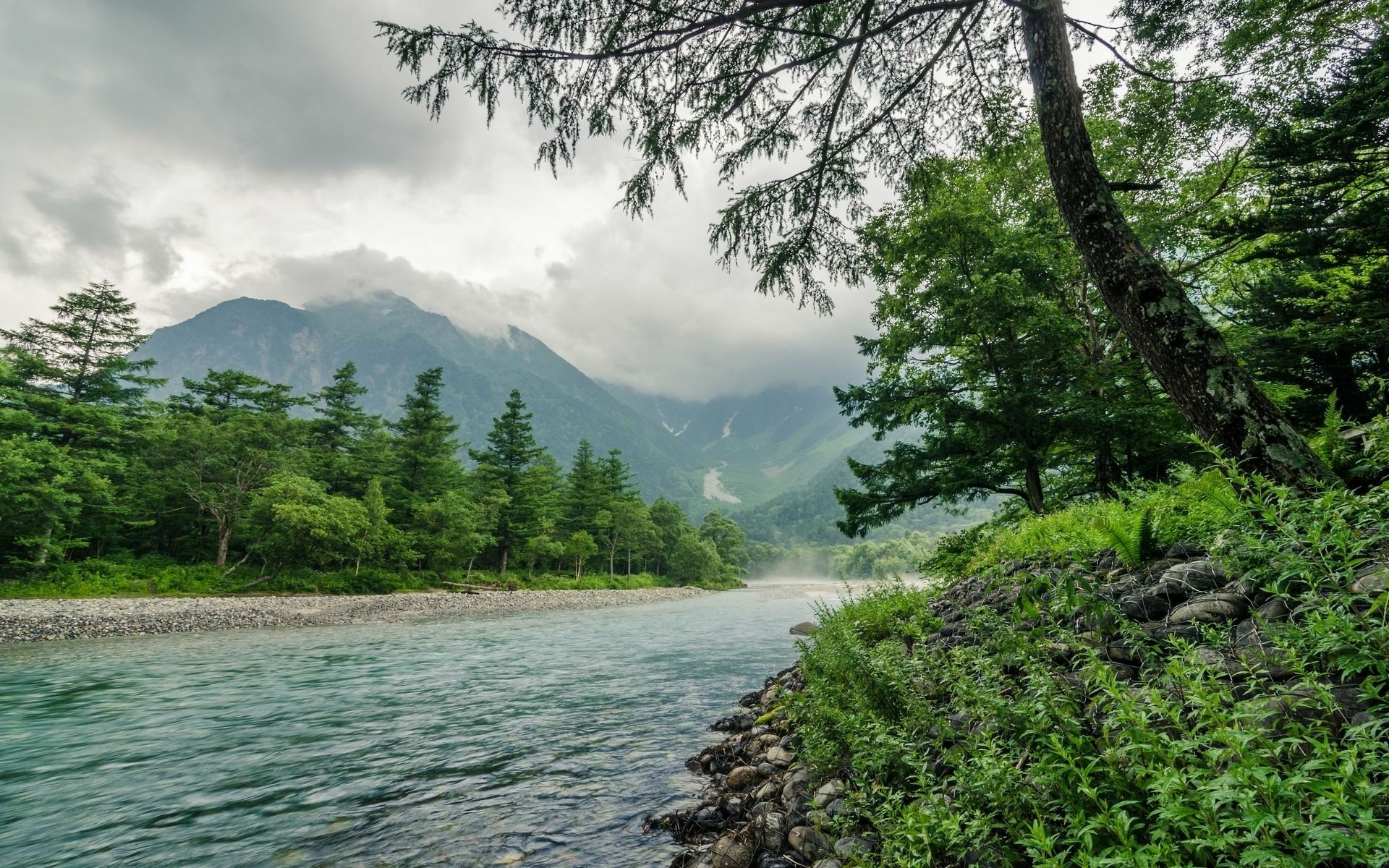 Download Green Mountain Forest Nature River HD Wallpaper