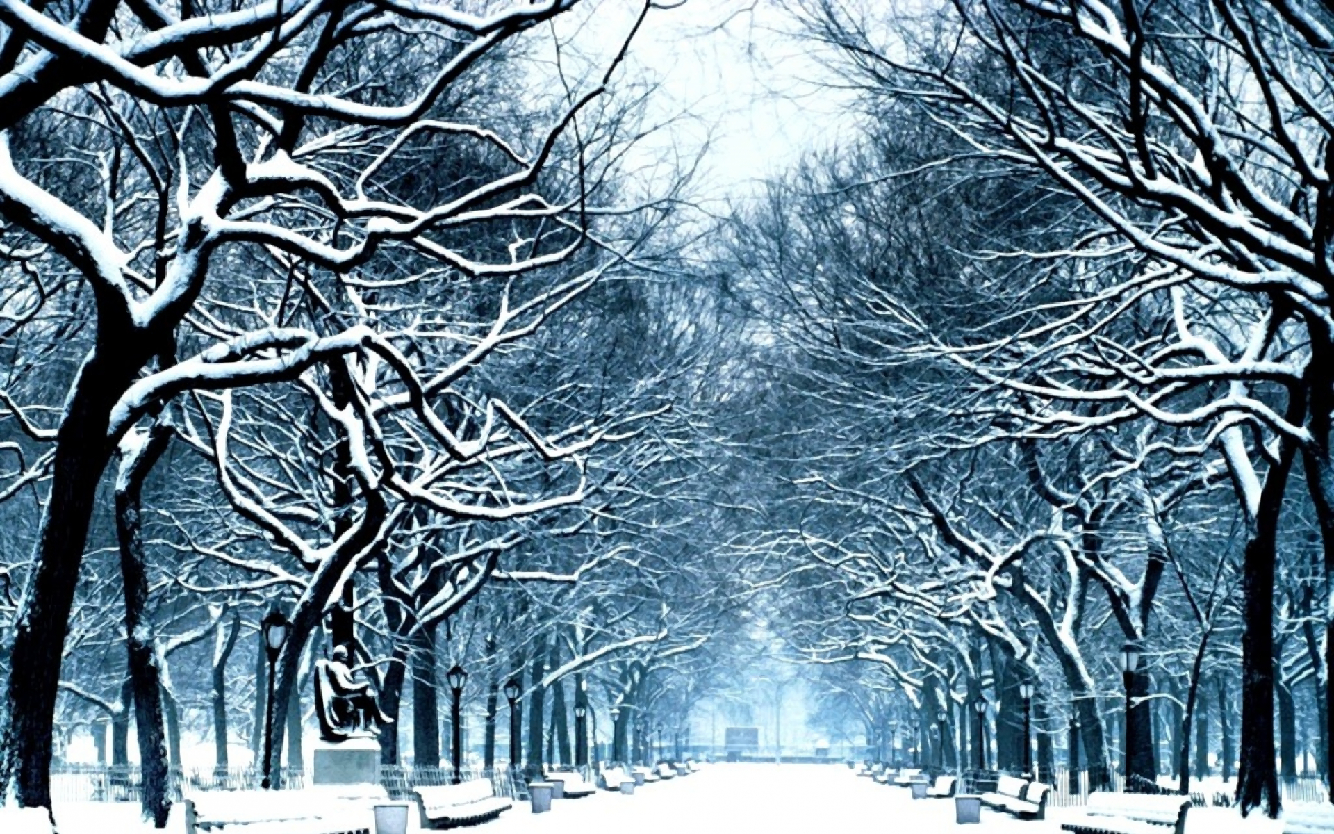 Download Snow Tree Bench Winter Earth Photography Park HD Wallpaper