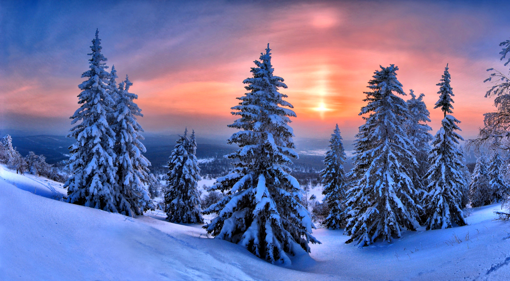 Download Landscape Snow Forest Tree Sunset Nature Winter Wallpaper