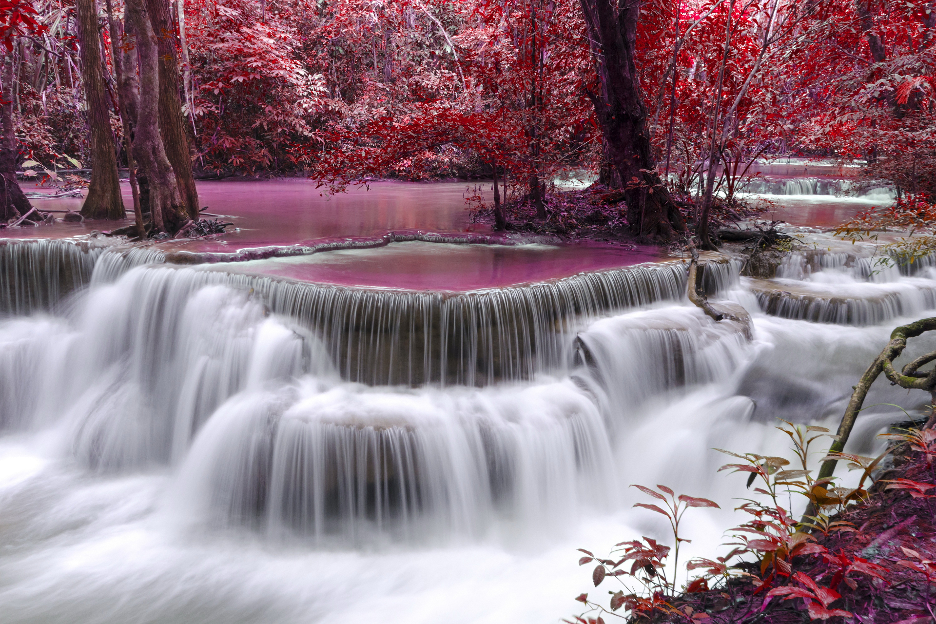 Download Tree Fall Nature Waterfall HD Wallpaper