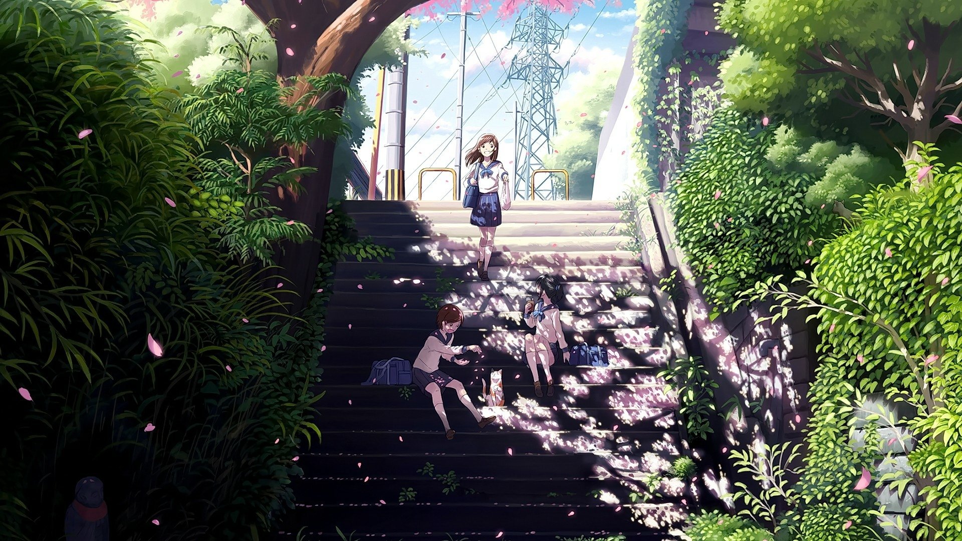 Blossoming Paths: An Anime HD Wallpaper Experience