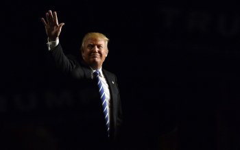 Download Donald Trump Celebrity PFP