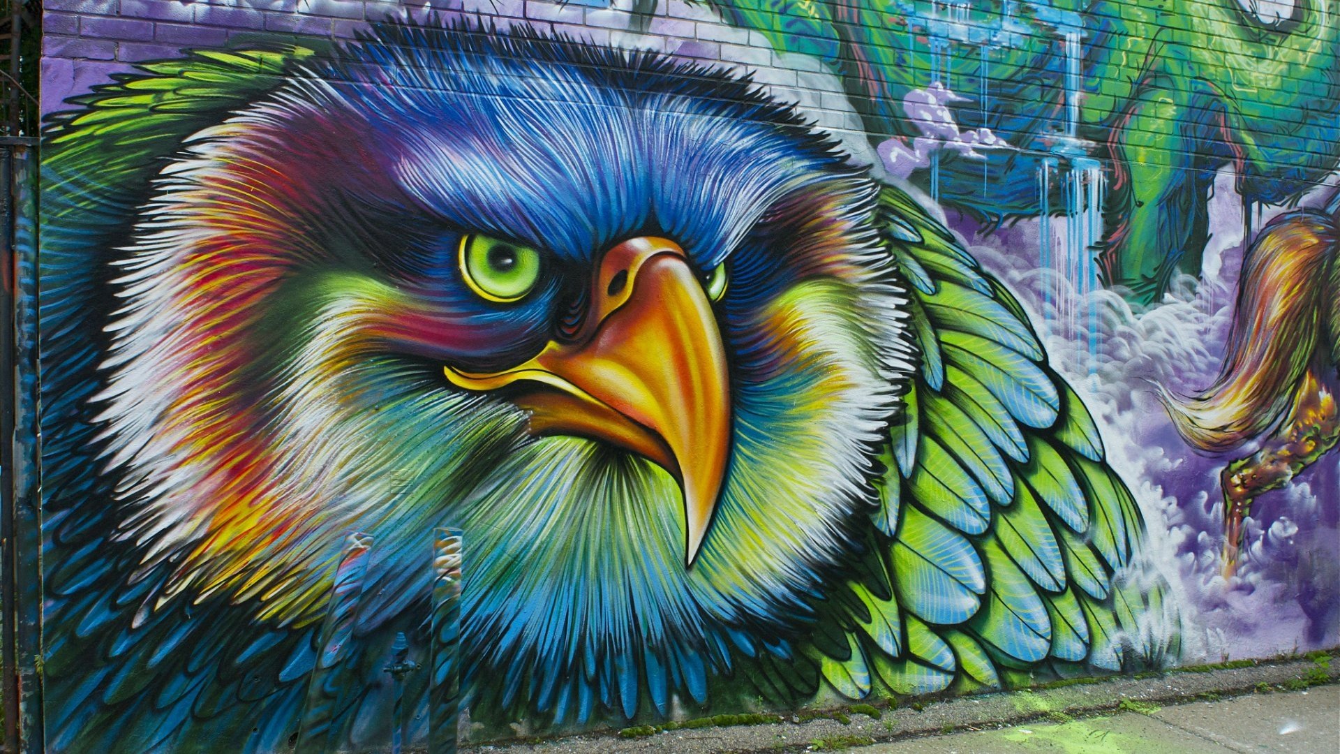 Vibrant Eagle Graffiti HD Wallpaper: A Colorful Artistic Vision ...