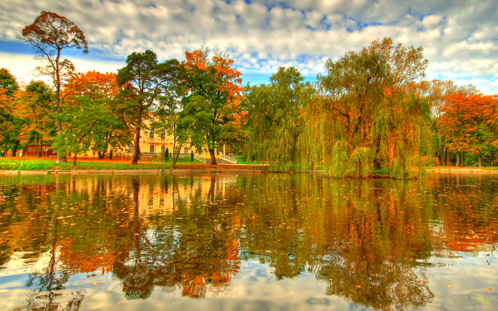 Download Pond Tree Fall Earth Photography Reflection Wallpaper