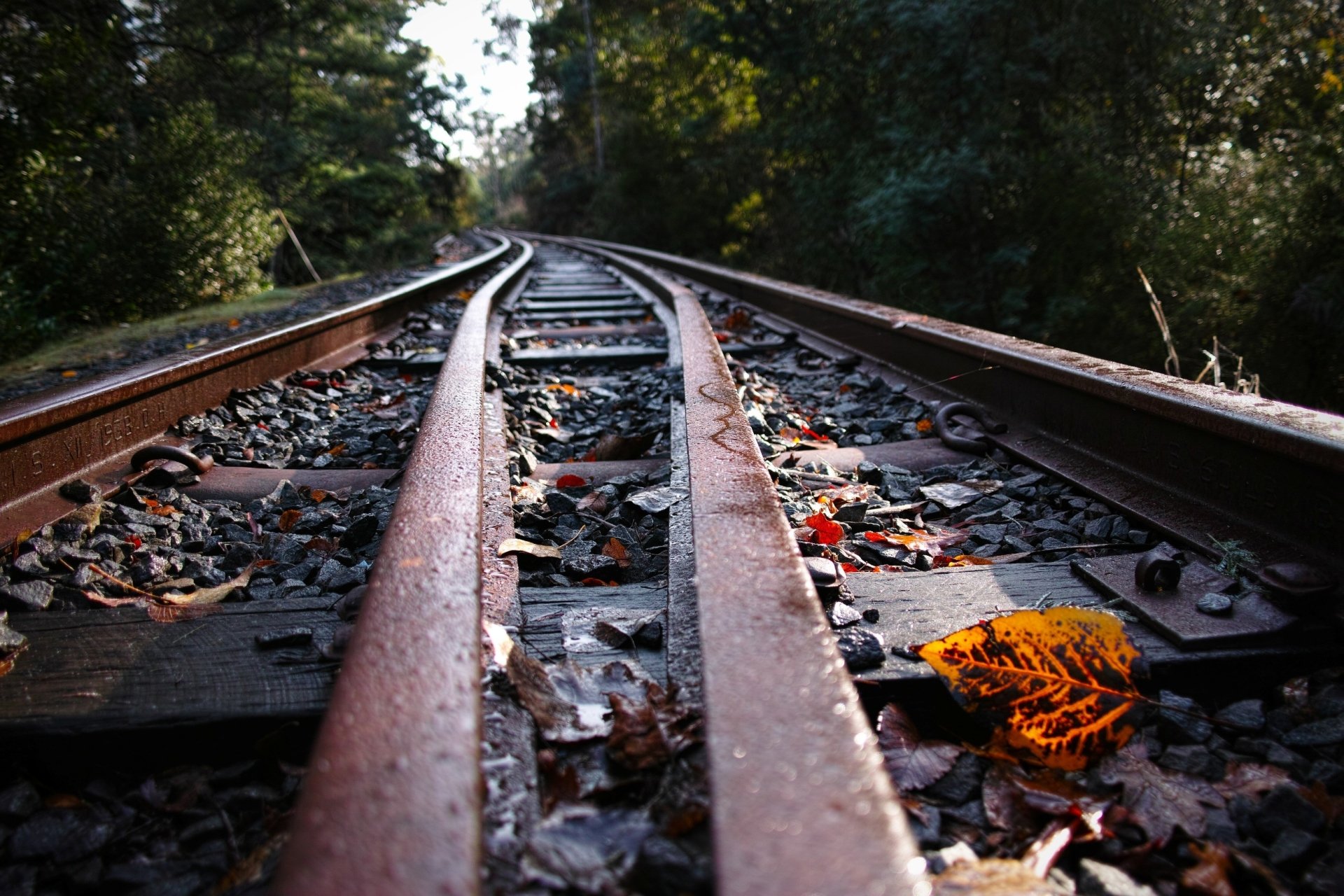 Close-Up of Man-Made Railroad Tracks in HD