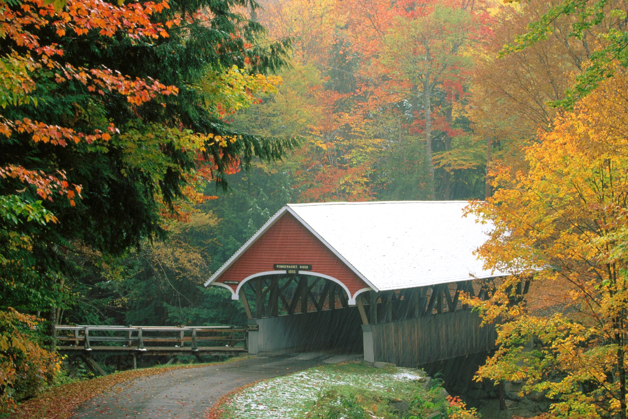 Download Bridge Man Made Covered Bridge HD Wallpaper