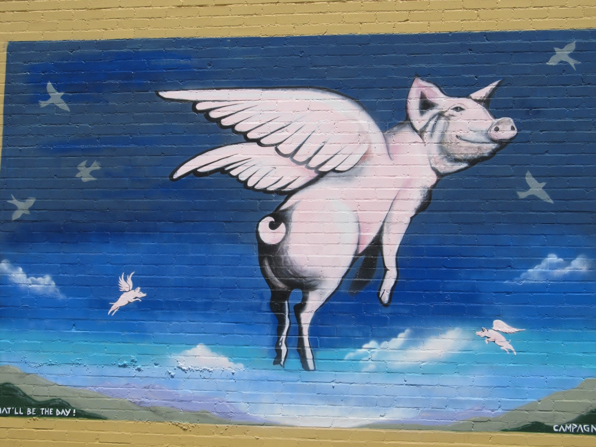 Download Wings Wall Pig Artistic Graffiti HD Wallpaper by skeeze