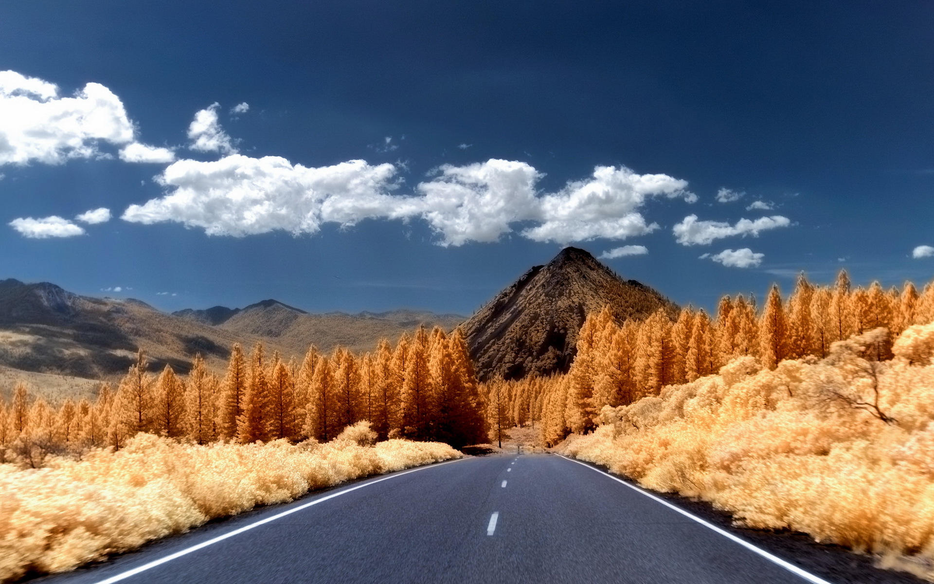 Download Fall Forest Nature Cloud Landscape Man Made Road HD Wallpaper