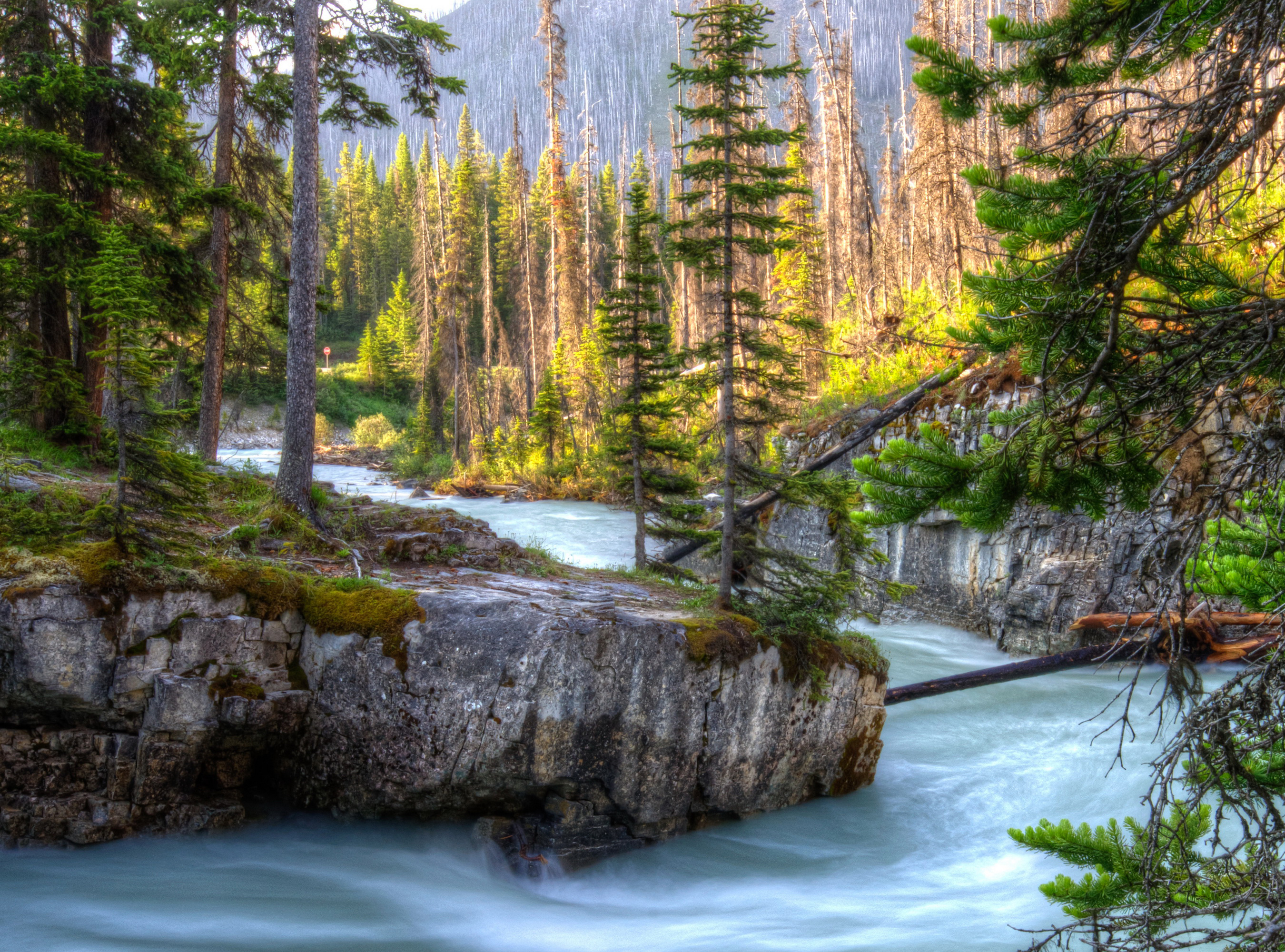 HDR Forest Stream: Stunning Nature HD Wallpaper