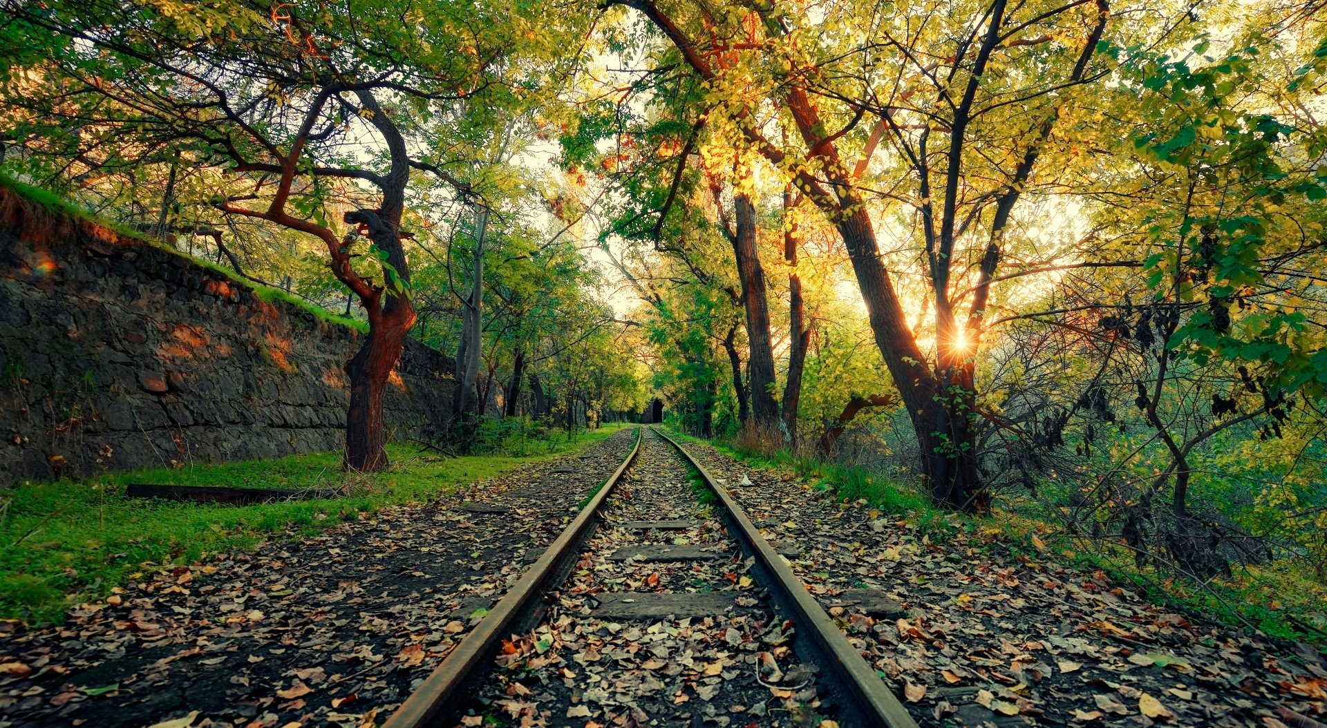 Spring Serenity: HD Wallpaper of Green Trees Along a Railroad