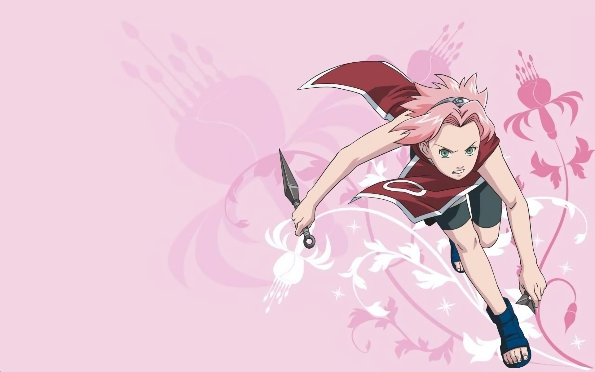 Download Sakura Haruno Anime Naruto HD Wallpaper by anjum123