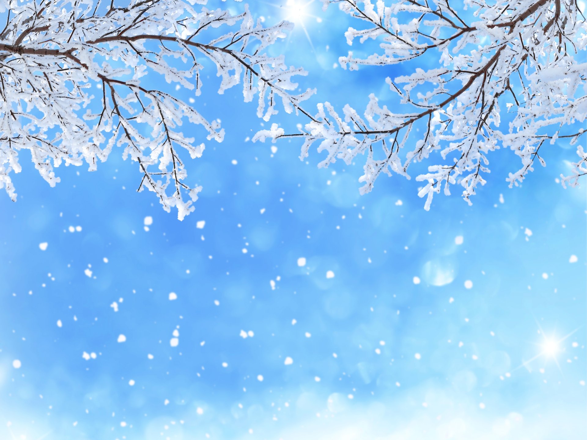 Download Snowflake Branch Snowfall Snow Nature Winter 4k Ultra HD Wallpaper