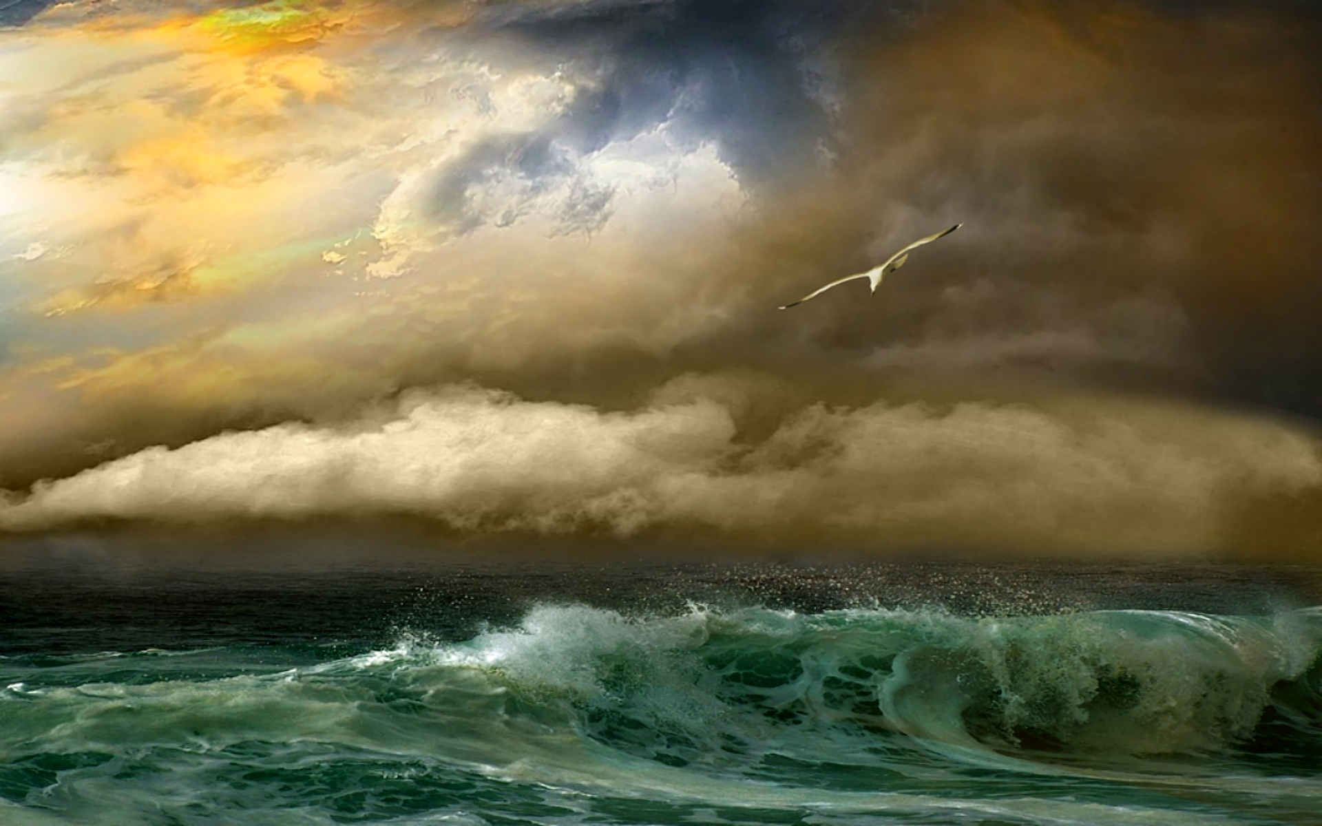 Download Cloud Sky Seagull Wave Sea Nature Ocean Ocean Waves HD Wallpaper